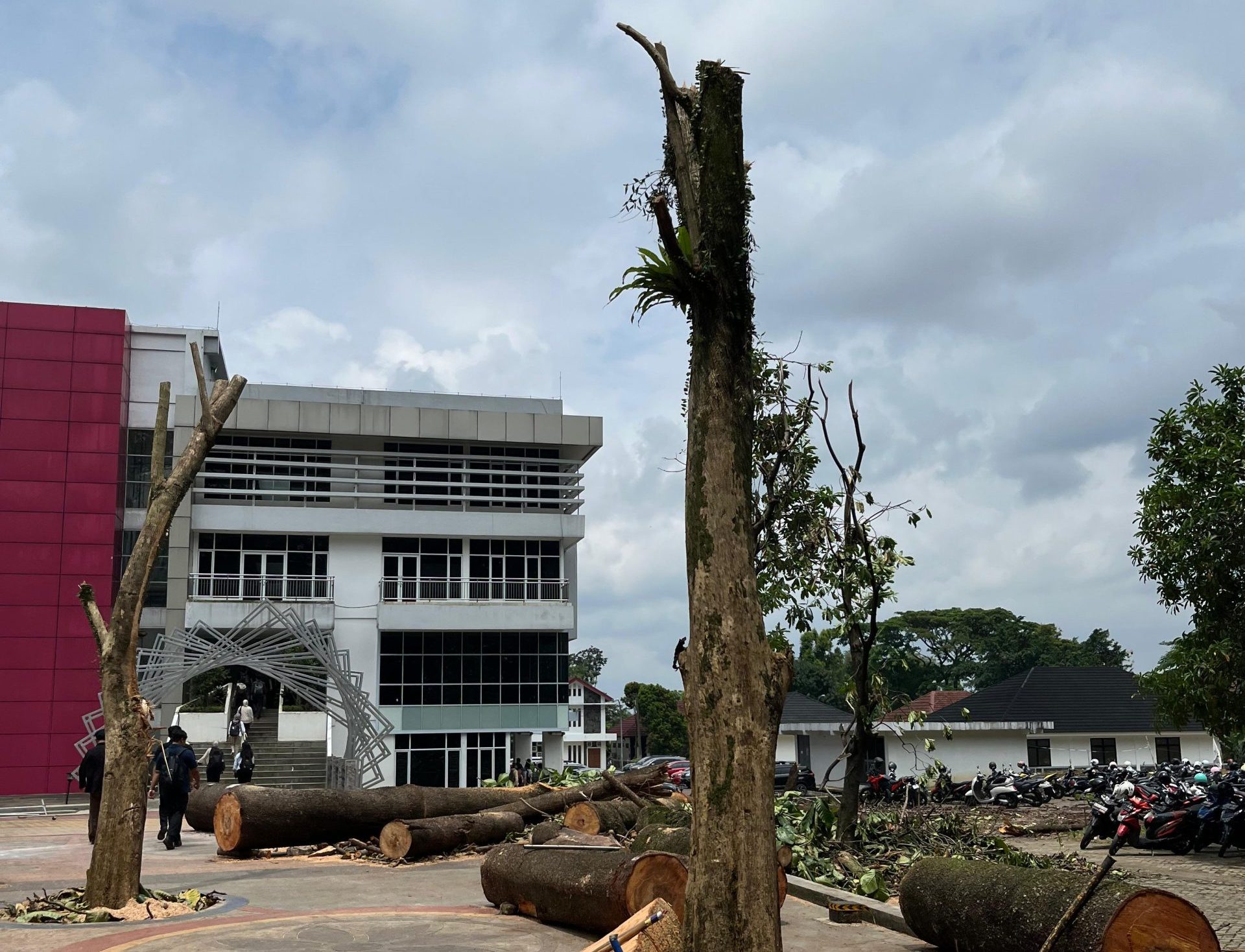 Tepis Isu Deforestasi, Keselamatan Mahasiswa Jadi Alasan Utama ...